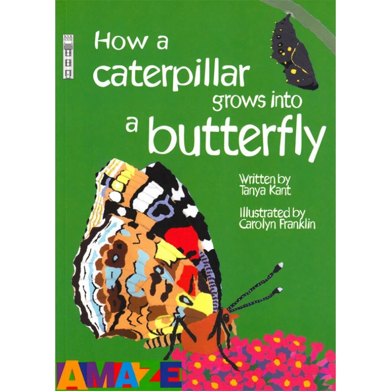 Caterpillar to Butterfly Children's Books – Buy Online in Jordan | Dumyah